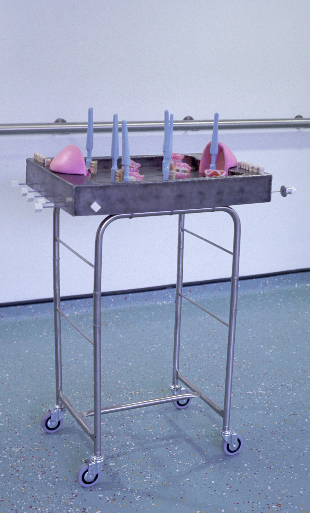 Toothbrush Thistle versus False Teeth United | Anita Wohlén